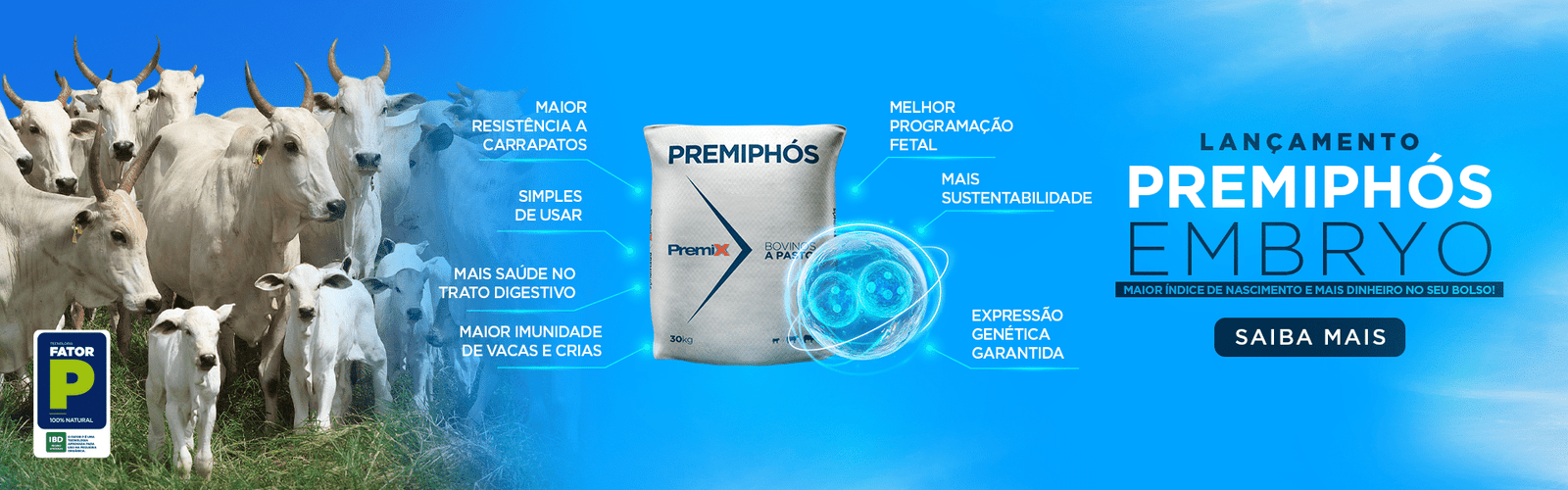 Home - Premix
