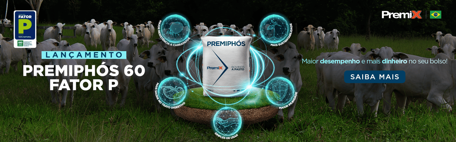 Home - Premix