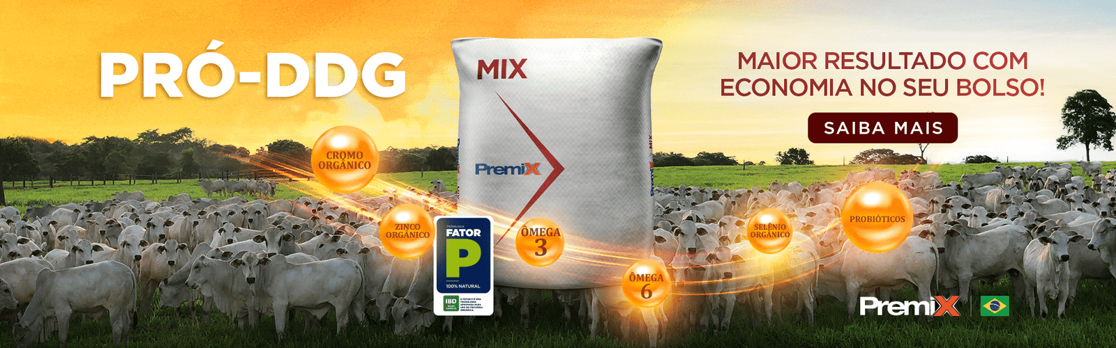 Home - Premix