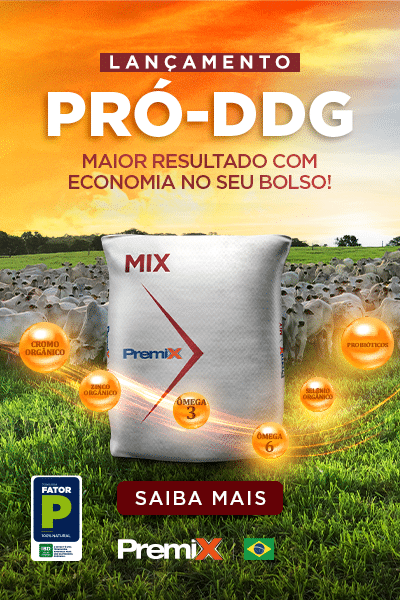 Home - Premix